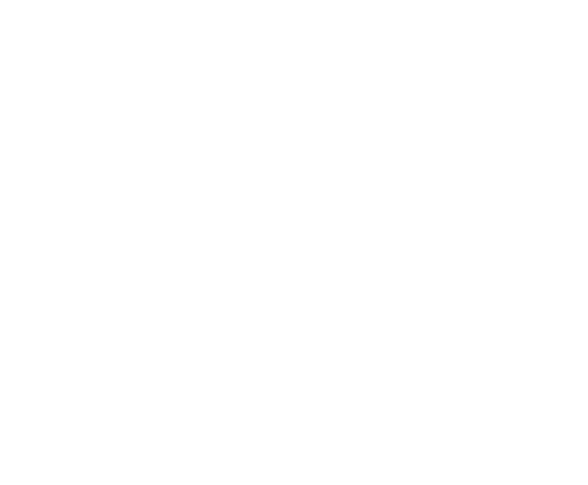 Assent Risk Assessment