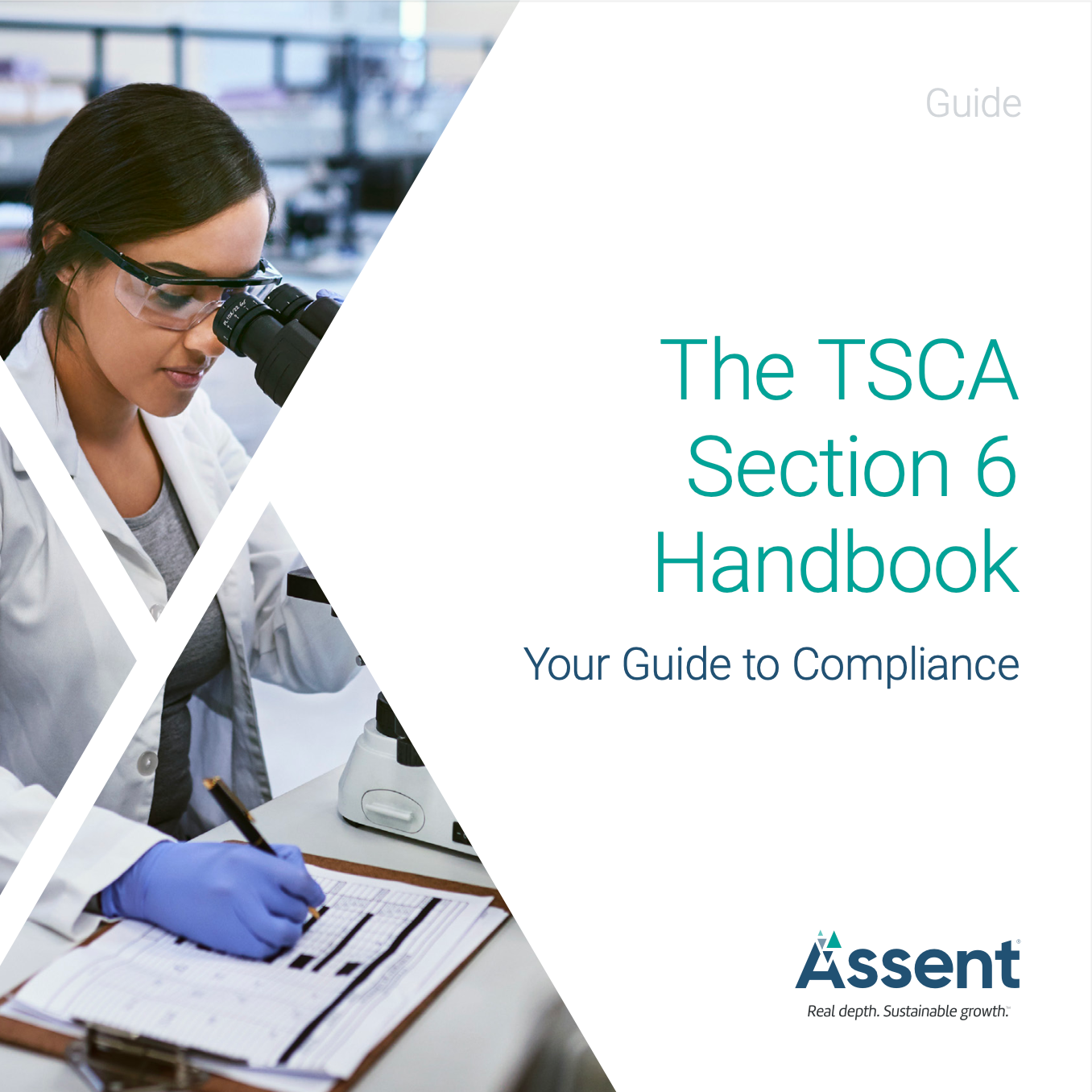 The TSCA Section 6 Handbook: Your Guide to Compliance | Assent