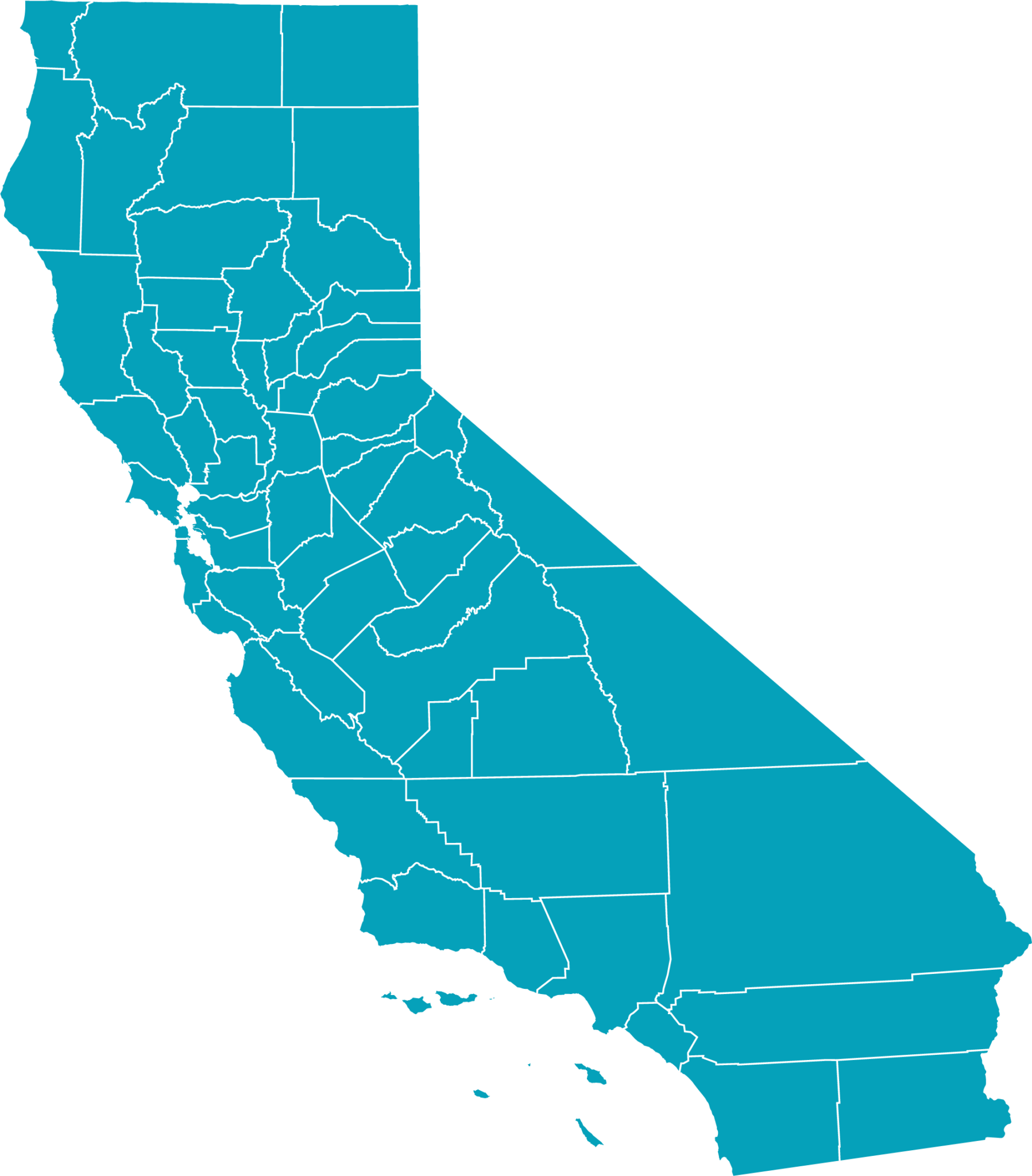 What Is the California Transparency in Supply Chains Act? | Assent