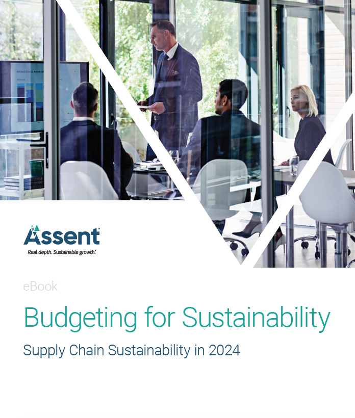 Budgeting for Sustainability: Your Essential Guide | Assent