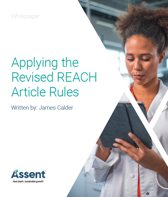 Applying the Revised REACH Article Rules | Assent