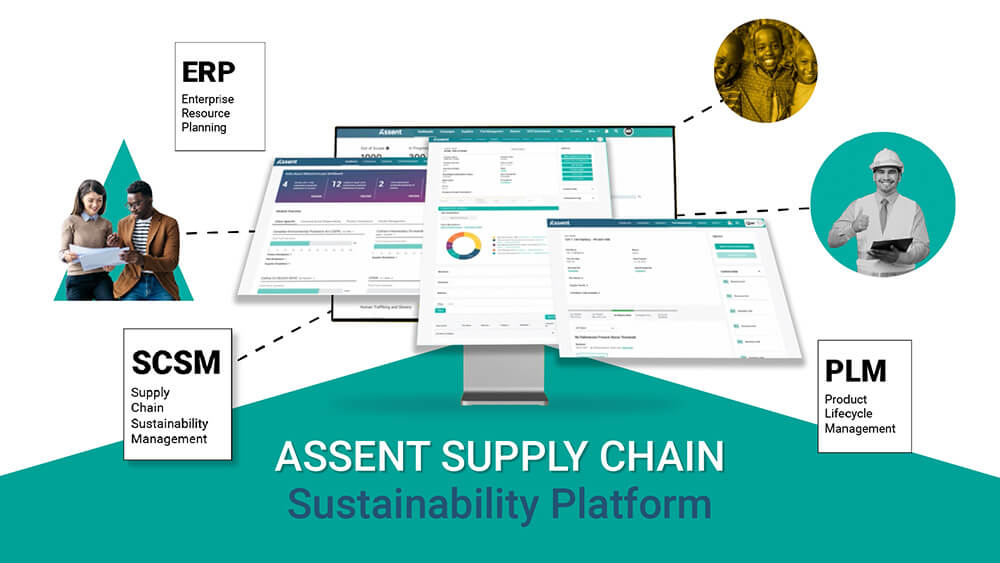 Supply Chain Management Solutions for Sustainability - Assent